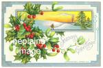 CHRISTMAS - Seasons Greetings - Winter Scene, Holly, Mistletoe (AMP 406)